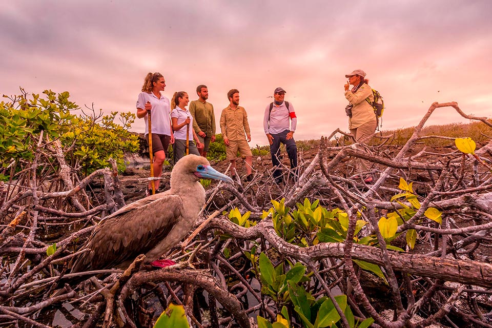 What are the visiting rules for the Galapagos National Park?